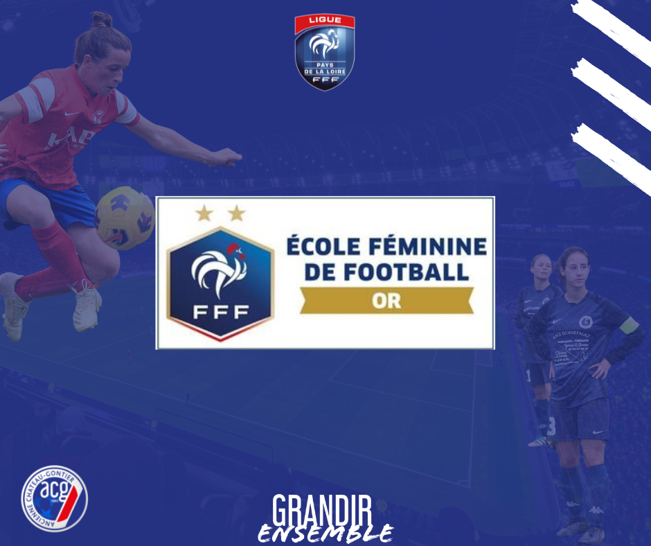 Ancienne De Ch teau Gontier LABEL OR FOOT F MININ